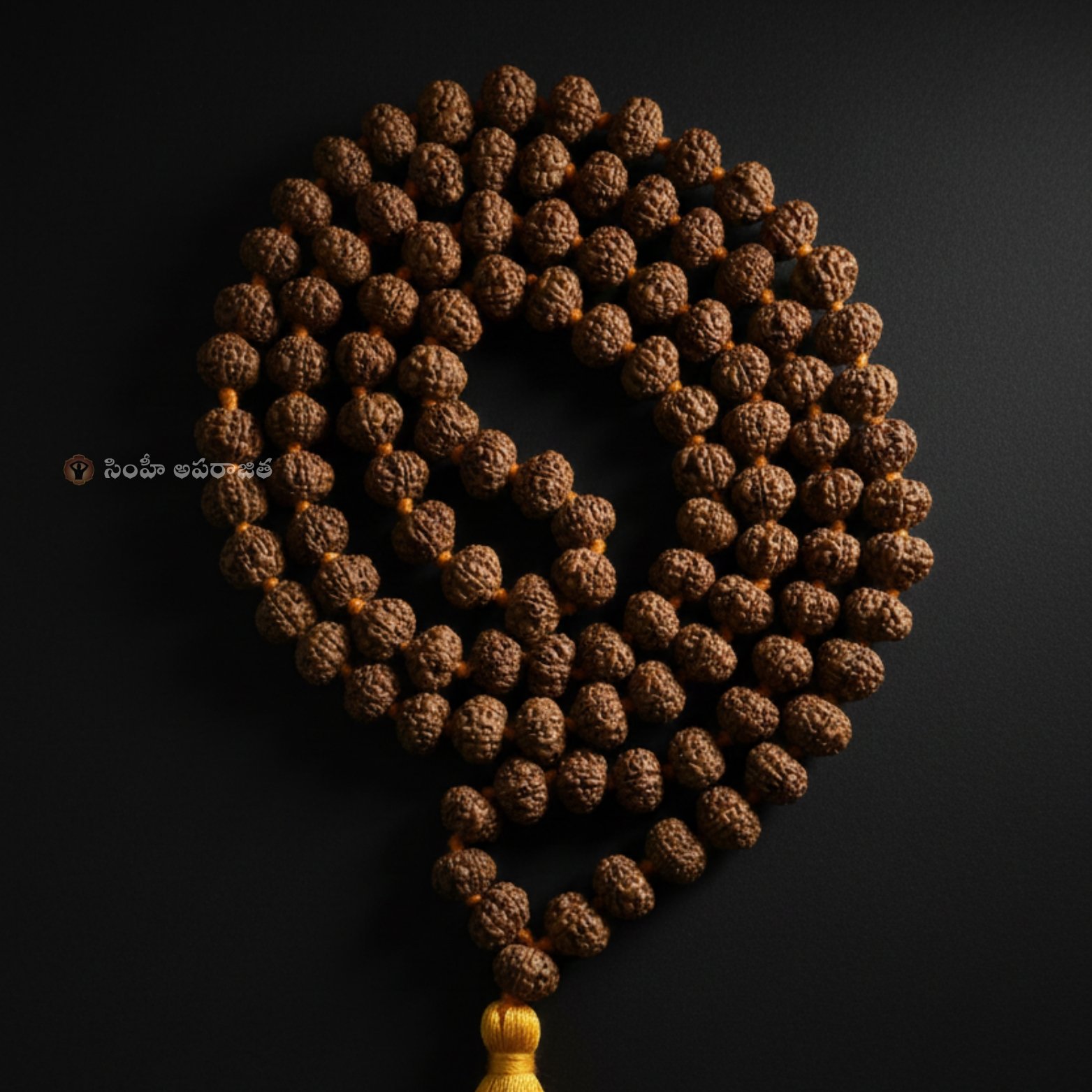 RUDRAKSHA MAALA 10 FACE | Simhee Aparajita Maha Mantralayam